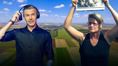 Publikationen zu Bodenmanagement & Analyse / gesunde-erde